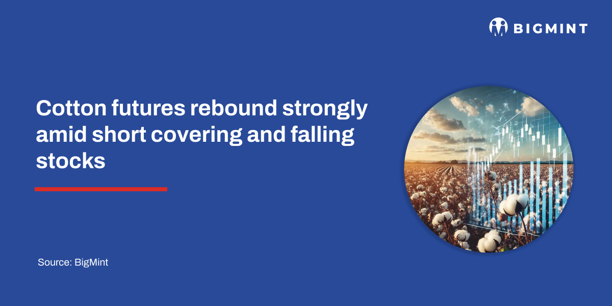 Cotton futures rebound strongly amid short covering and falling stocks ...