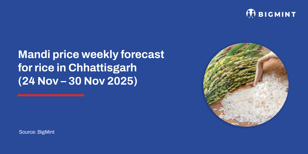 Mandi price weekly forecast for rice in Chhattisgarh (24 Nov - 30 Nov ...